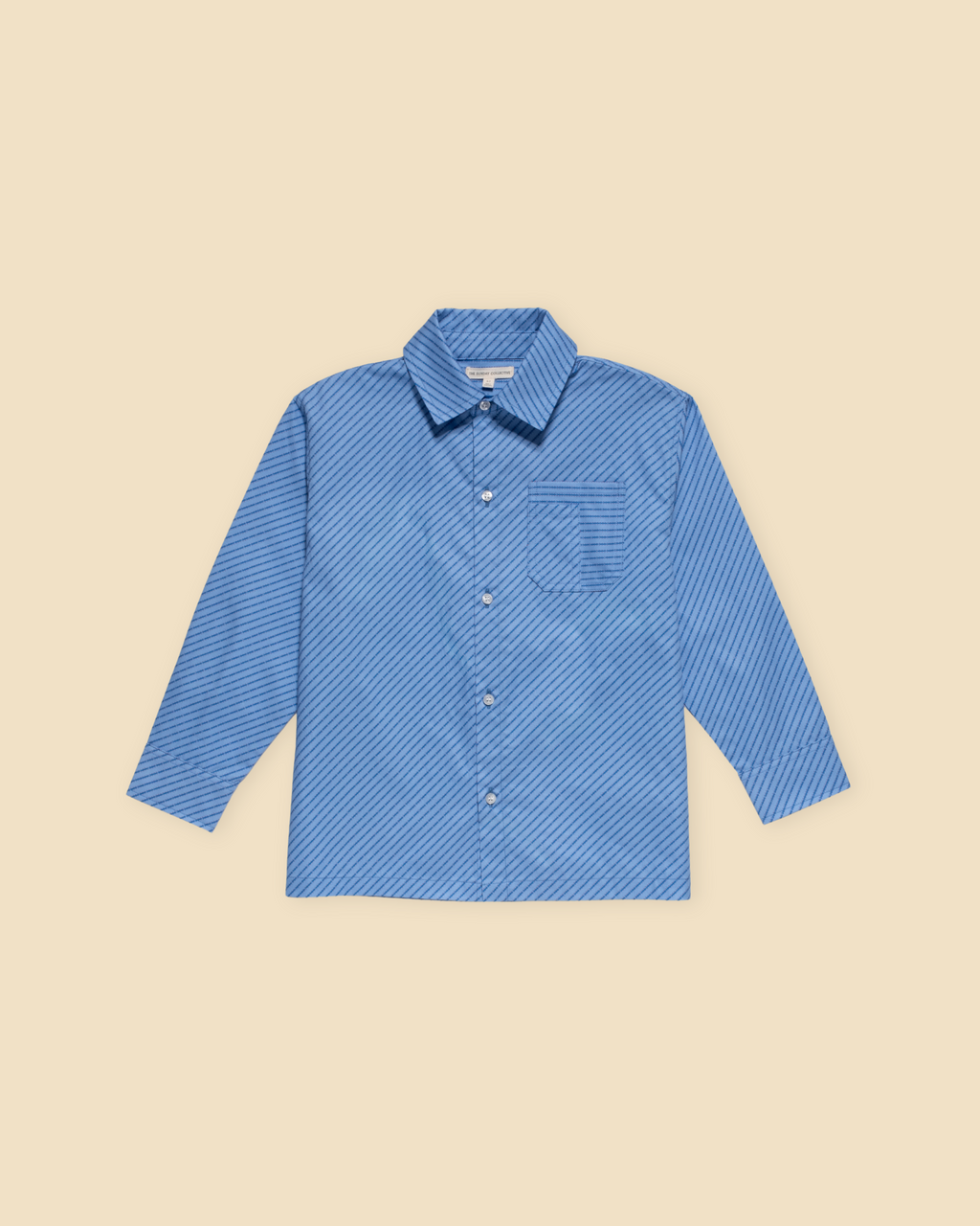Yearbook Buttondown | Shirts | The Sunday Collective